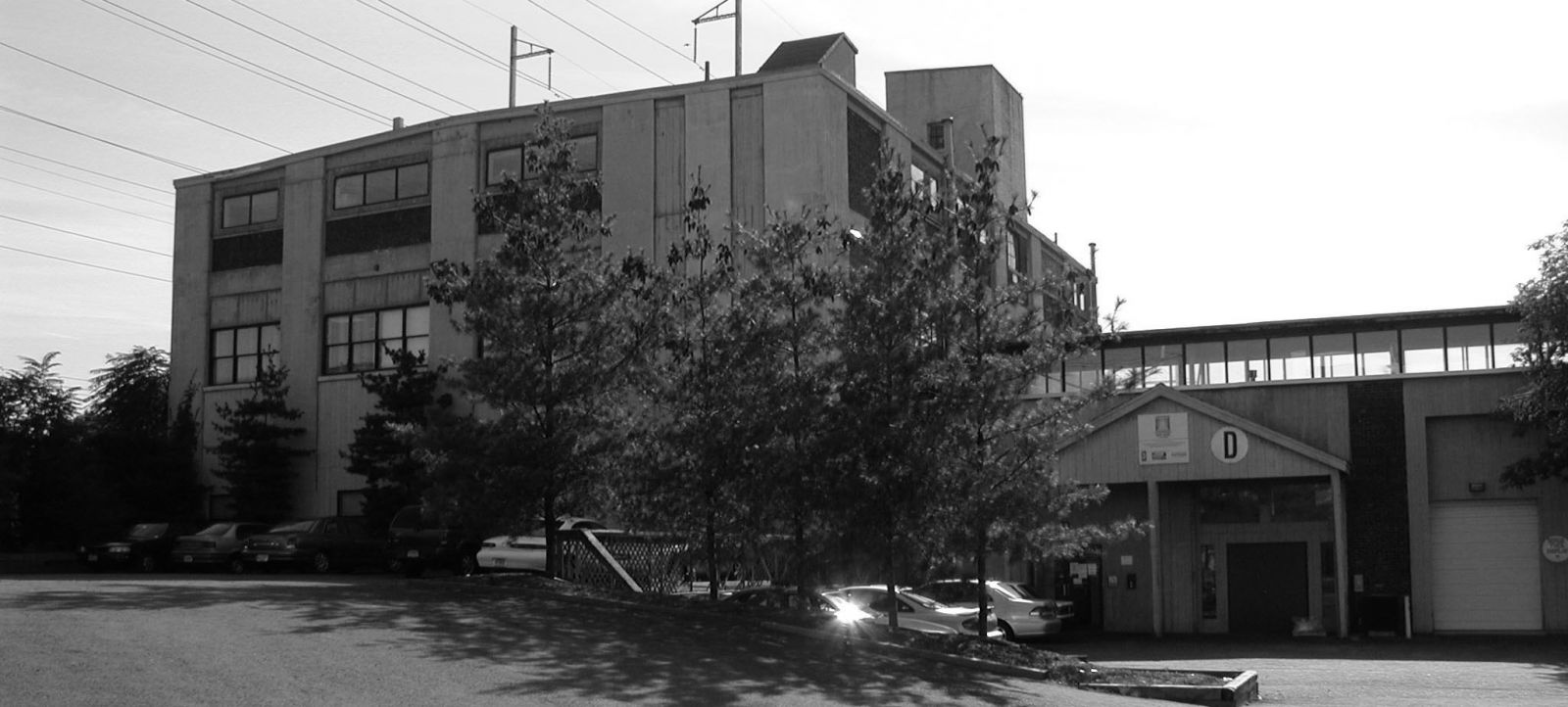 History | PBL Assay Science