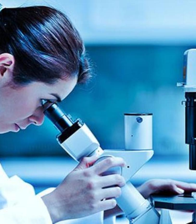 Interferon Gamma Activity and ELISA Detection | PBL Assay Science