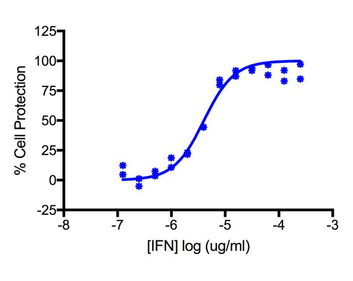 Human IFN-Alpha A (11101-1, 11101-2)| PBL Assay Science