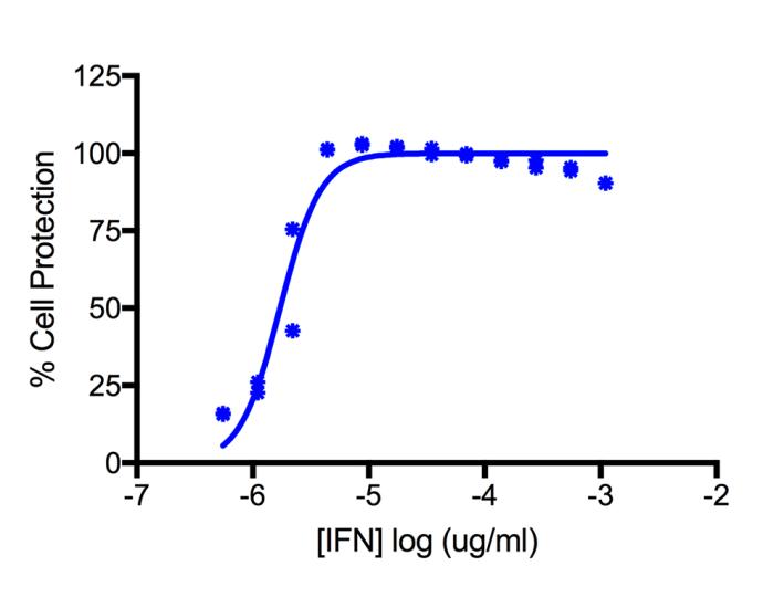 Human IFN-Alpha 14 (Alpha H2) Protein | PBL Assay Science