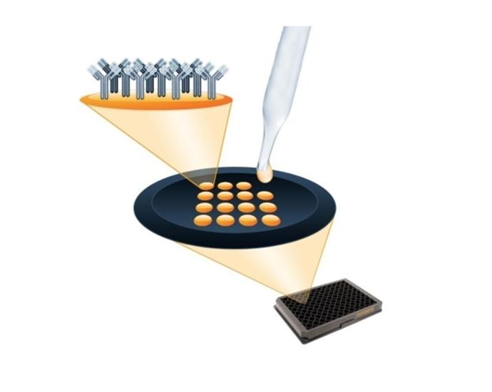 Q-Plex Multiplex ELISA Services: Cost-effective Multi-analytes ...