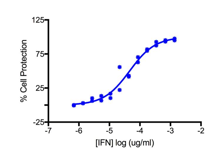 Mouse IFN-Alpha A Protein (12100-1) | PBL Assay Science