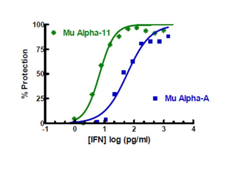 Mouse IFN-Alpha 11 | PBL Assay Science