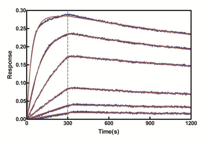 Custom Production | PBL Assay Science